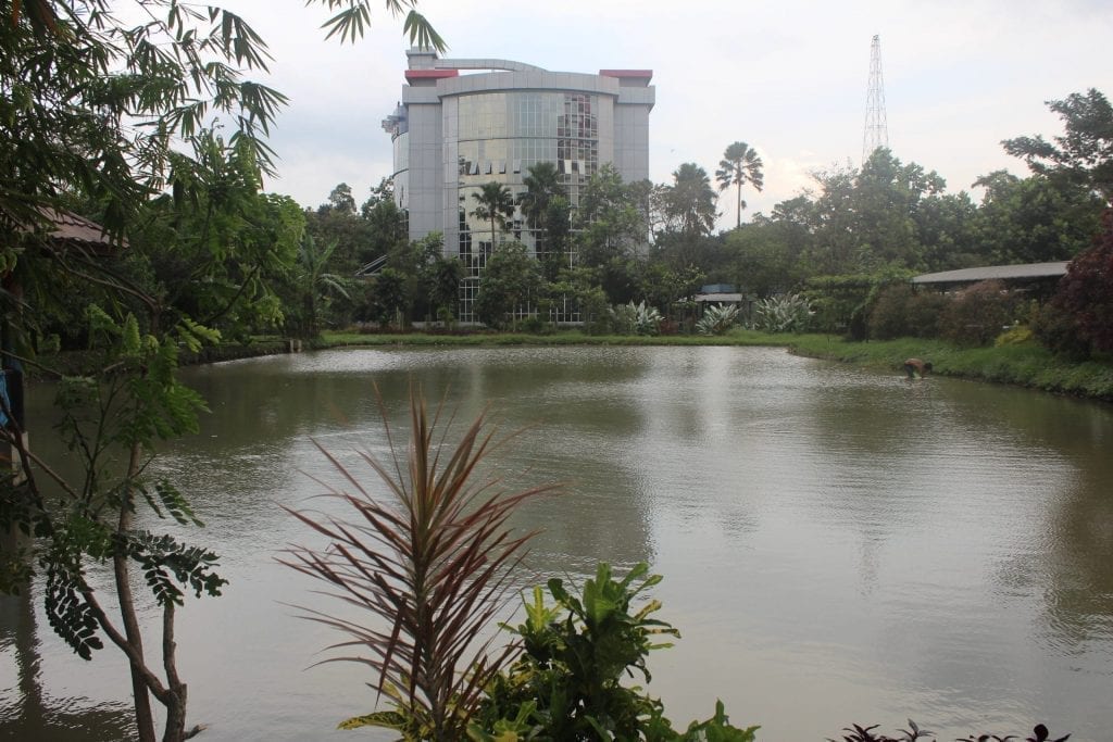 Telkom Ranks 9th as Greenest Campus UI Greenmetric 2020